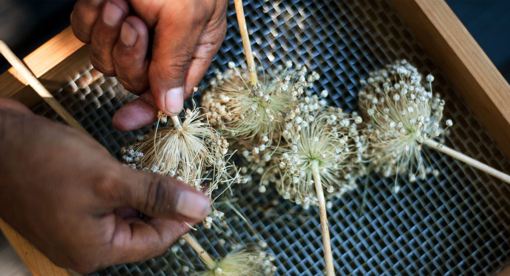 Sustainable Living Guide