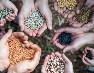 Sustainable Living Guide