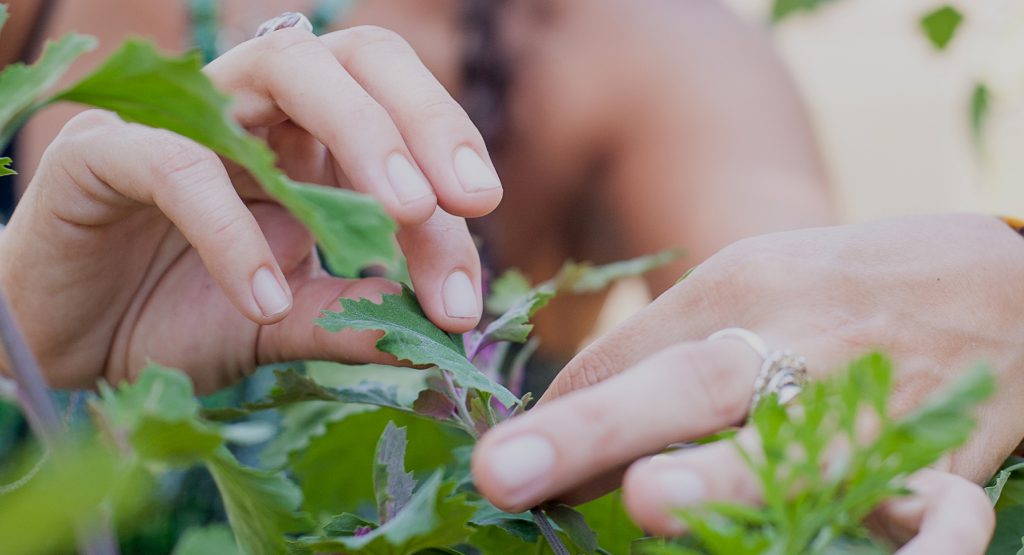 Sustainable Living Guide